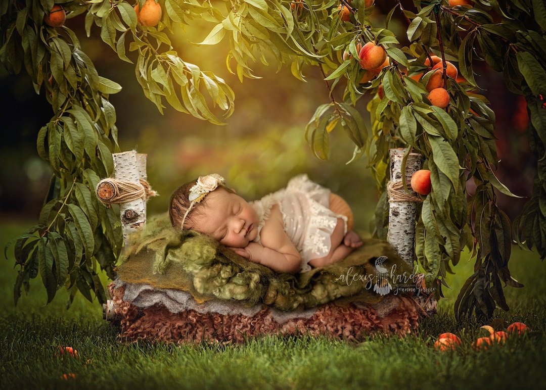 Digital Backdrop, Background Newborn Baby Gir Boy Outdoor Garden Peach ...