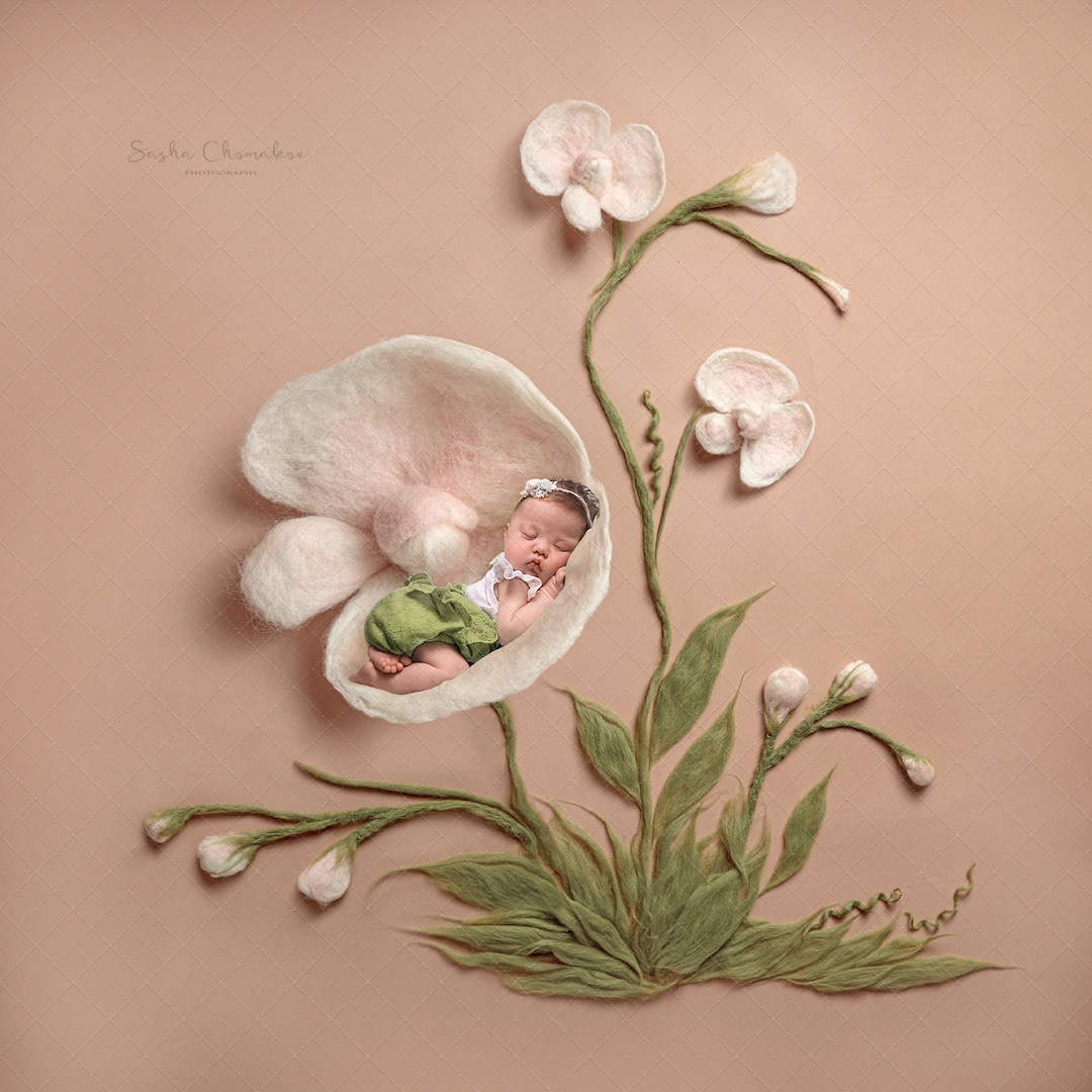 Digital Backdrop, Background Newborn Baby Girl or Boy Sweet Pea Flowers ...