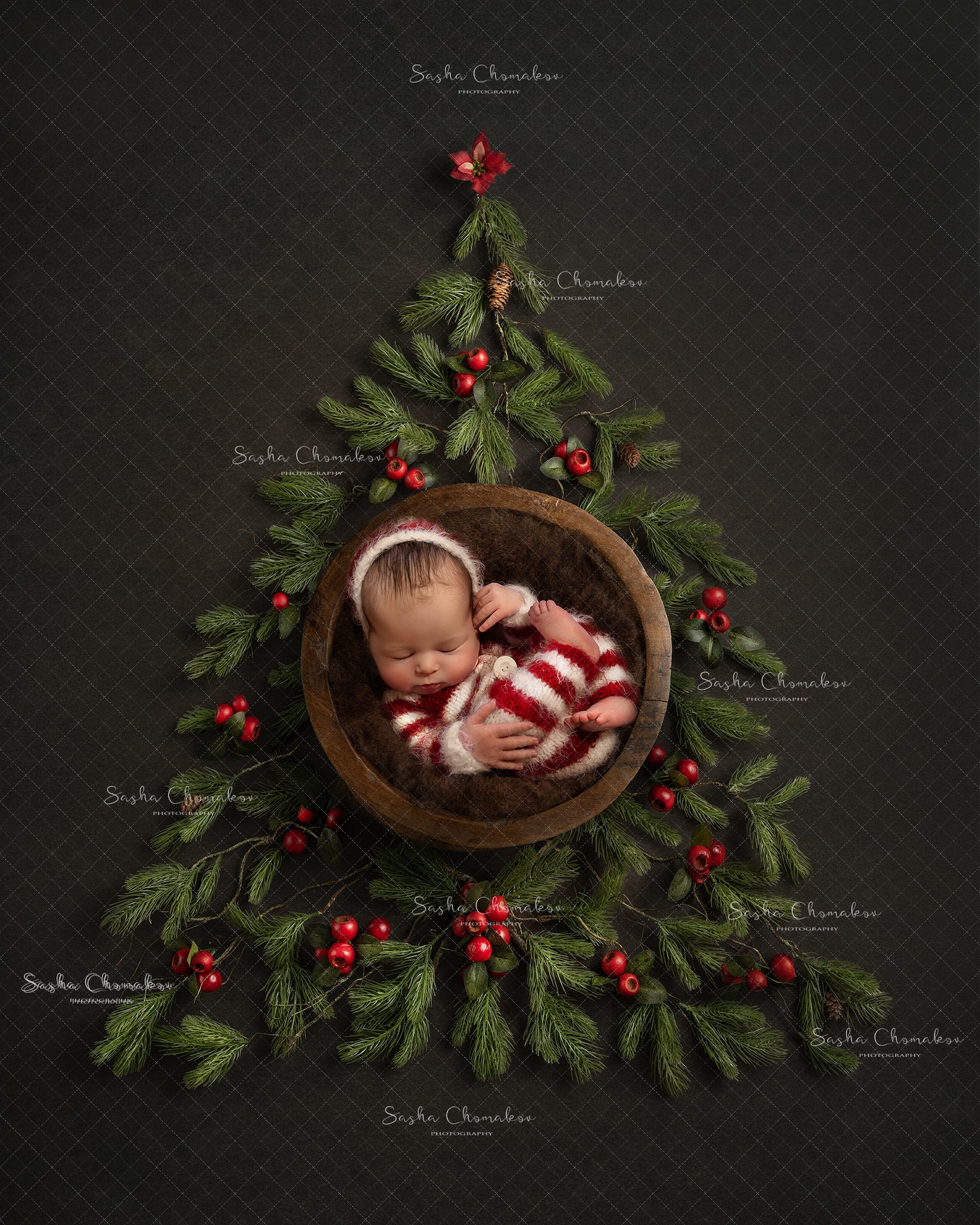 Digital Backdrop, Background Newborn Baby Girl Boy Dark Brown , Tree ...