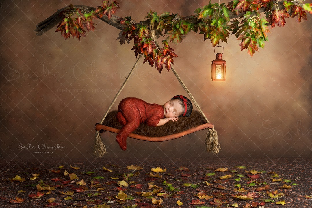 Digital Backdrop Background Newborn Girl or Boy Sitter Christmas Fall ...