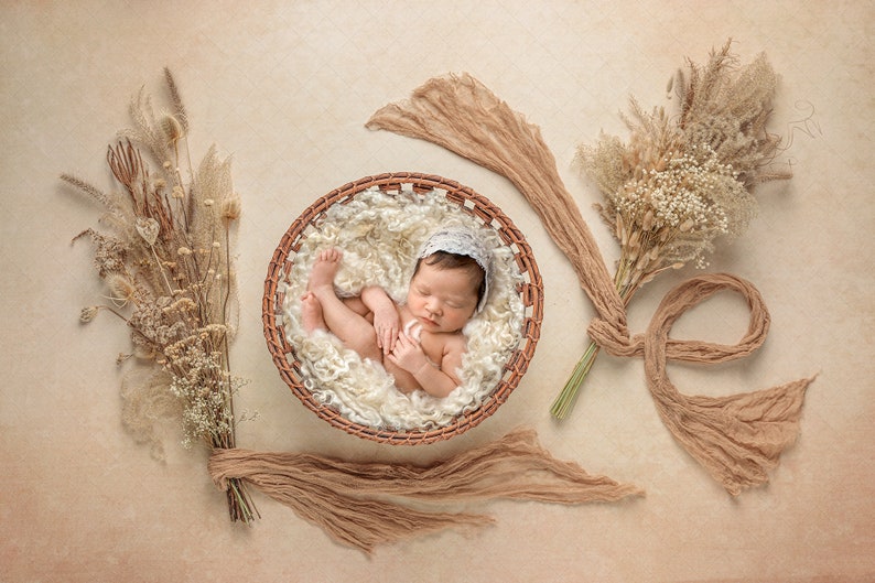 Digital Backdrop, Background Newborn Baby Girl White Cream Brown Dry ...