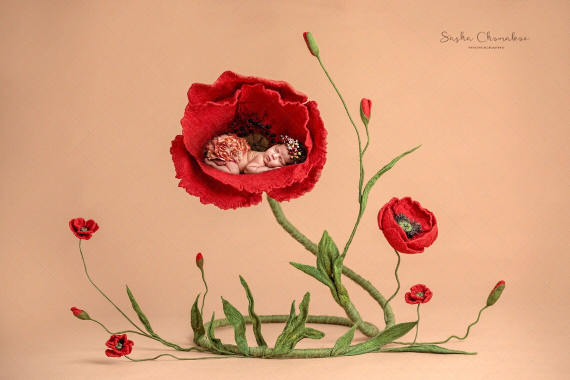 Digital Backdrop, Background Newborn Baby Girl Red Poppy Flower Felted ...