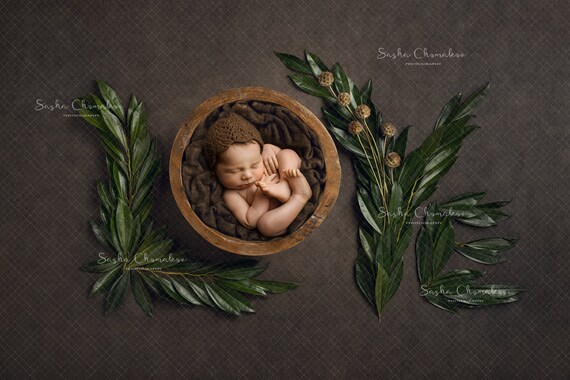 Digital Backdrop Background Newborn Baby Girl or Boy Brown | Etsy