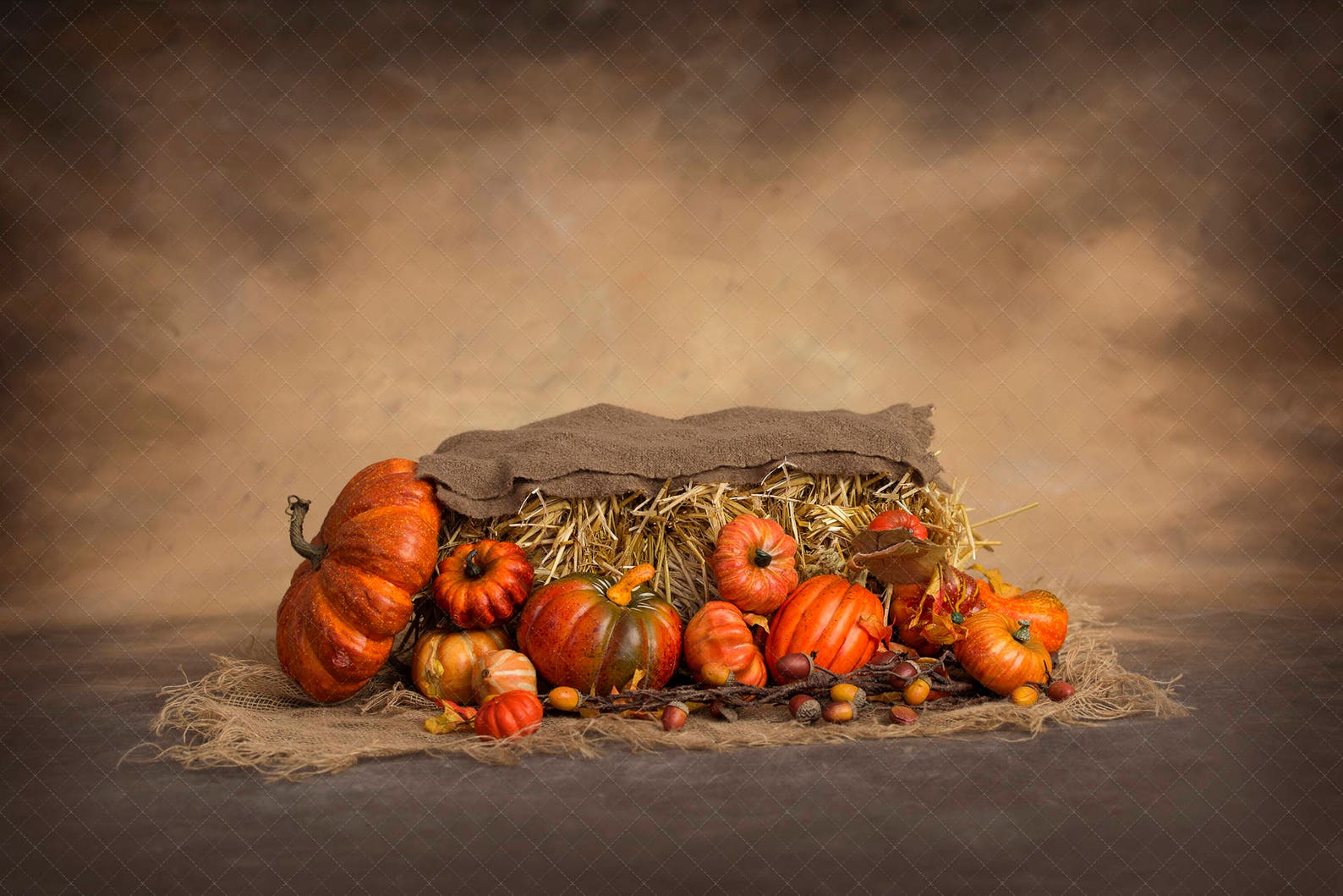 Digital Backdrop Background Newborn Baby Girl or Boy Toddler Pumpkin ...