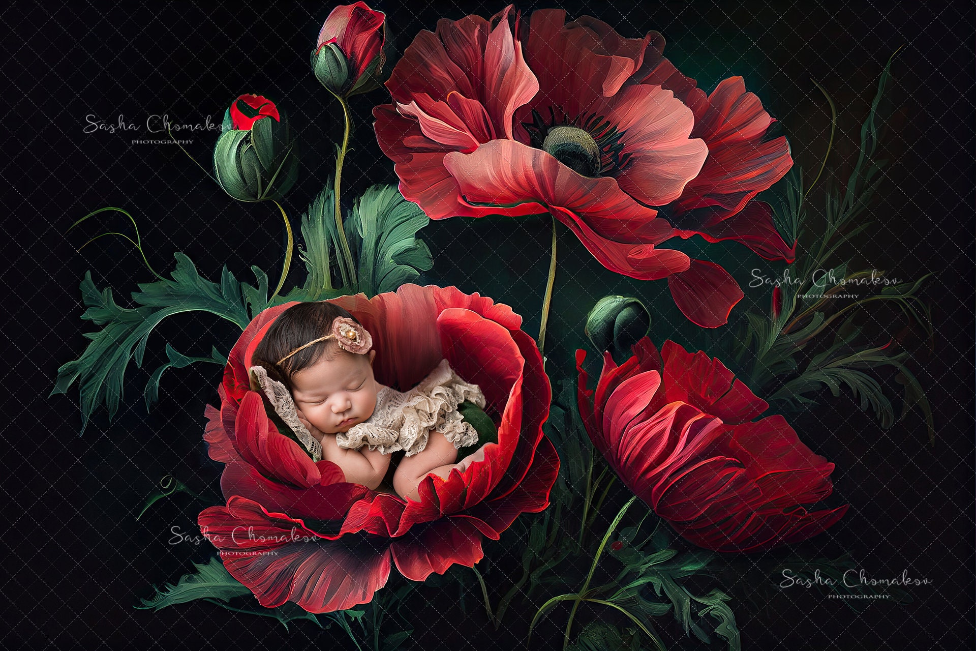 Digital Backdrop, Background Newborn Baby Girl , Hand Painted Red ...