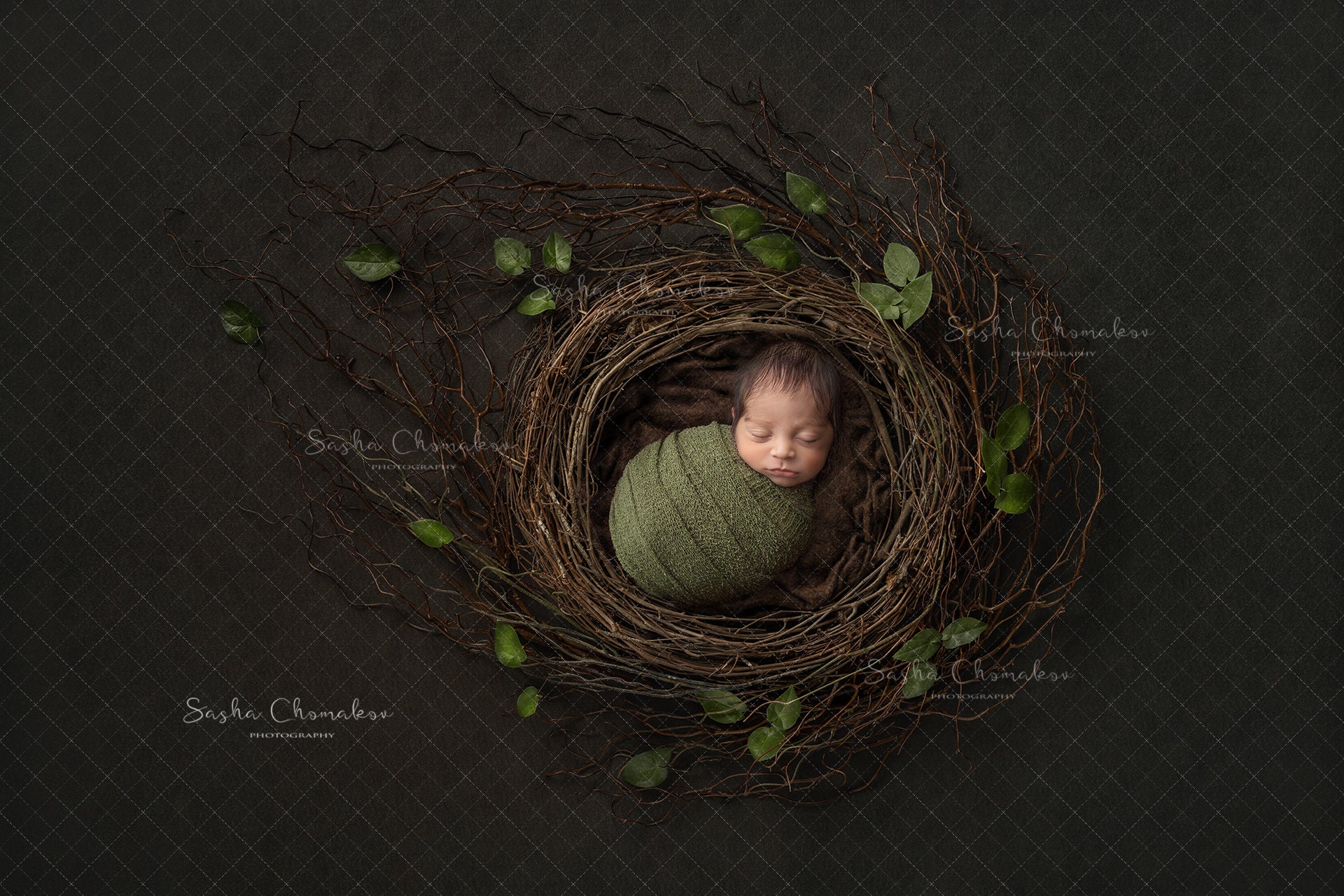 Digital Backdrop, Background Newborn Baby Girl Boy Bowl Natural Dark ...