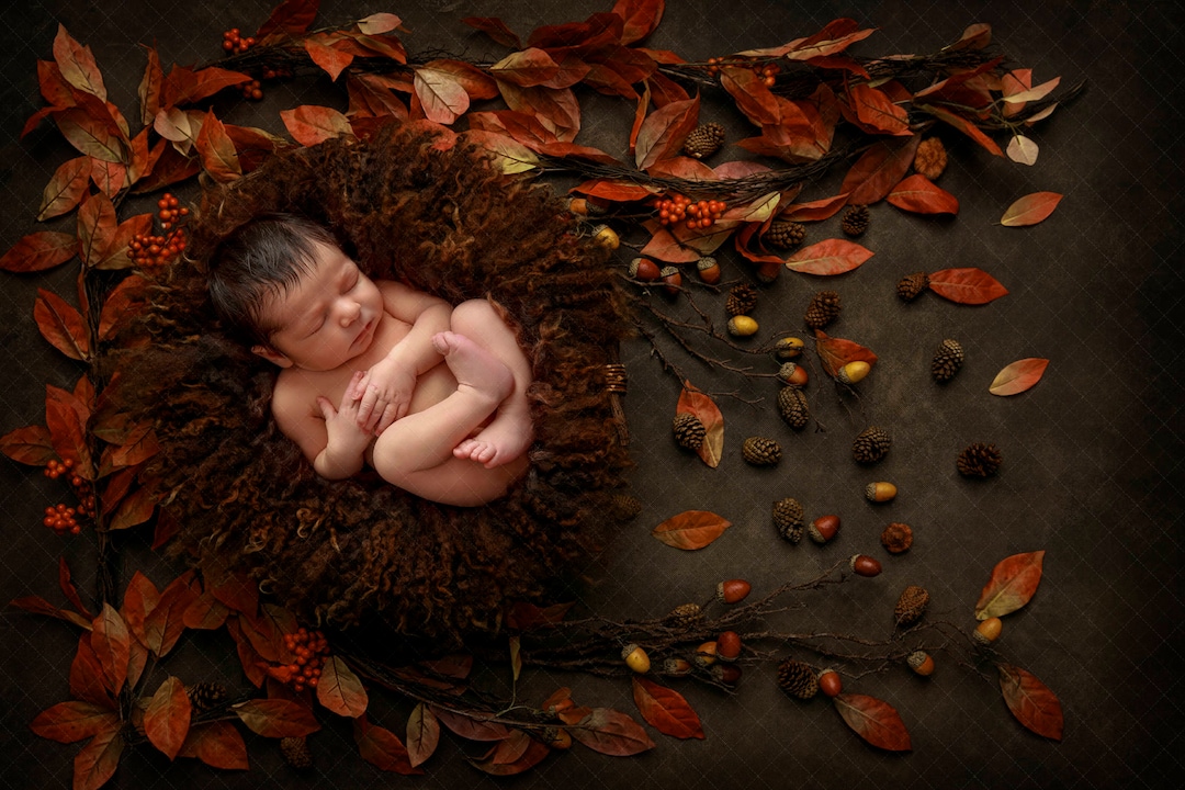 Digital Backdrop Background Newborn Baby Girl or Boy Overhead Look ...