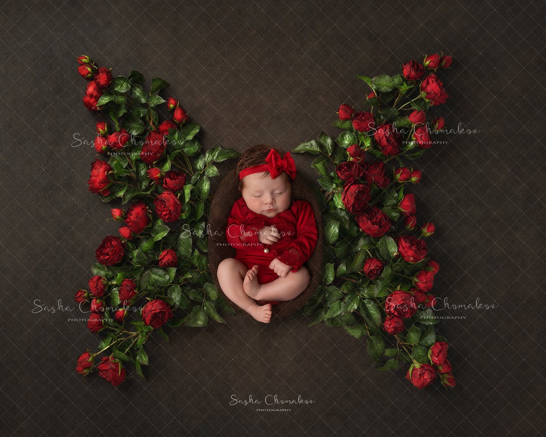 Digital Backdrop, Background Newborn Baby Girl or Boy Brown Dark Red ...