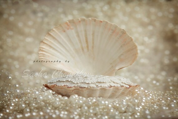 Pearls In Shell Wallpaper