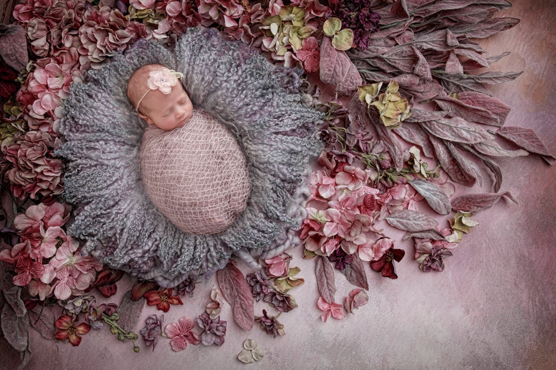 Digital Backdrop Background Newborn Baby Girl Purple and Gray Overhead ...