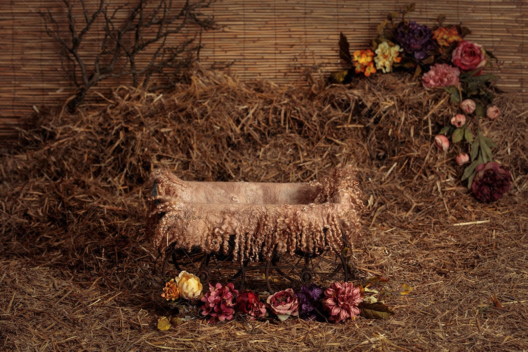 Digital Backdrop, Background Newborn Baby Girl or Boy Vintage Sitter ...