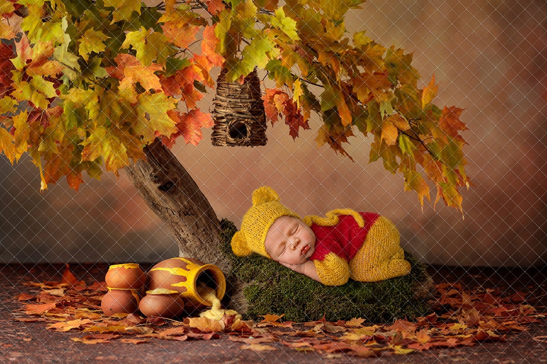 Digital Backdrop, Background Newborn Baby Girl or Boy Teddy Bear Honey ...