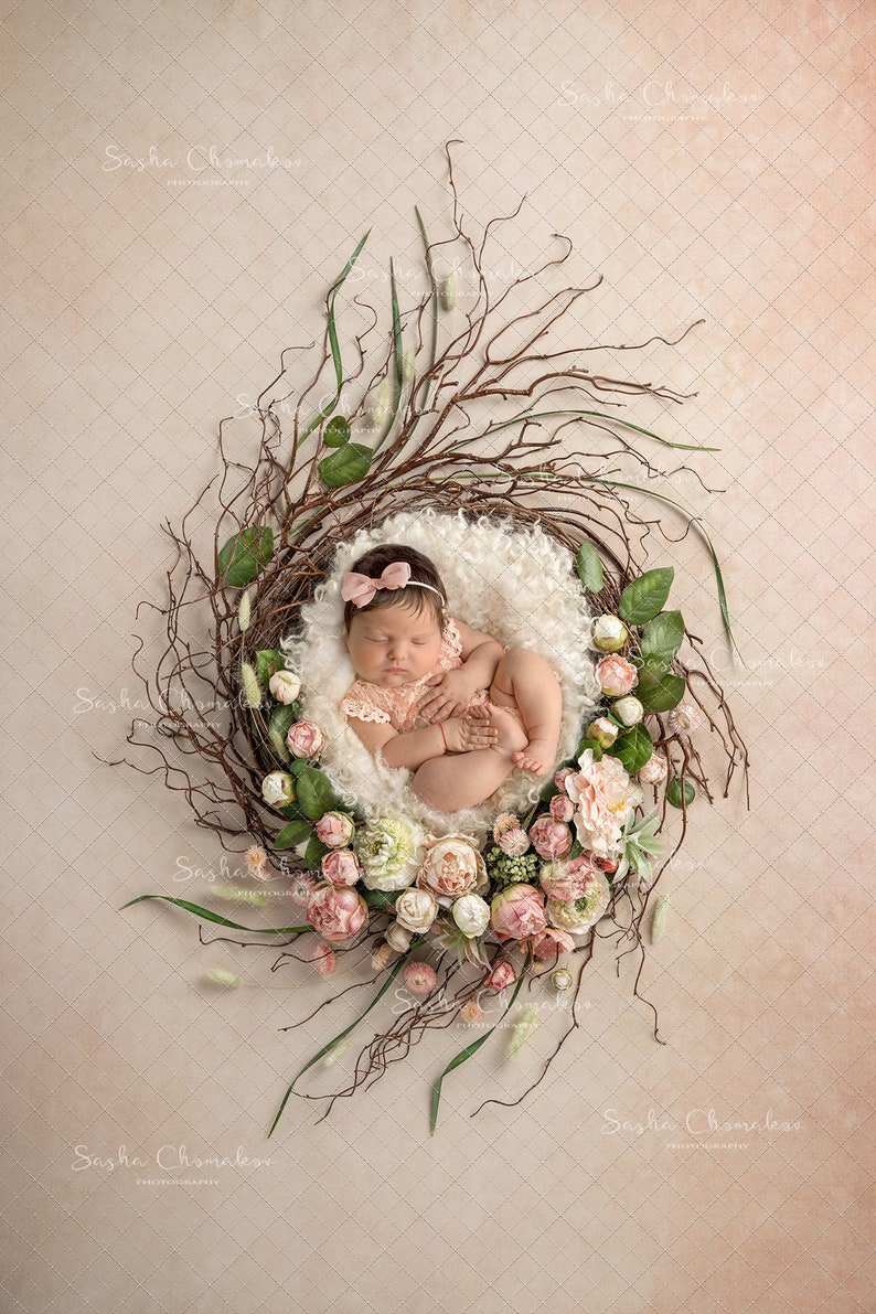 Digital Backdrop Background Newborn Girl Spring Overhead Branches Light ...