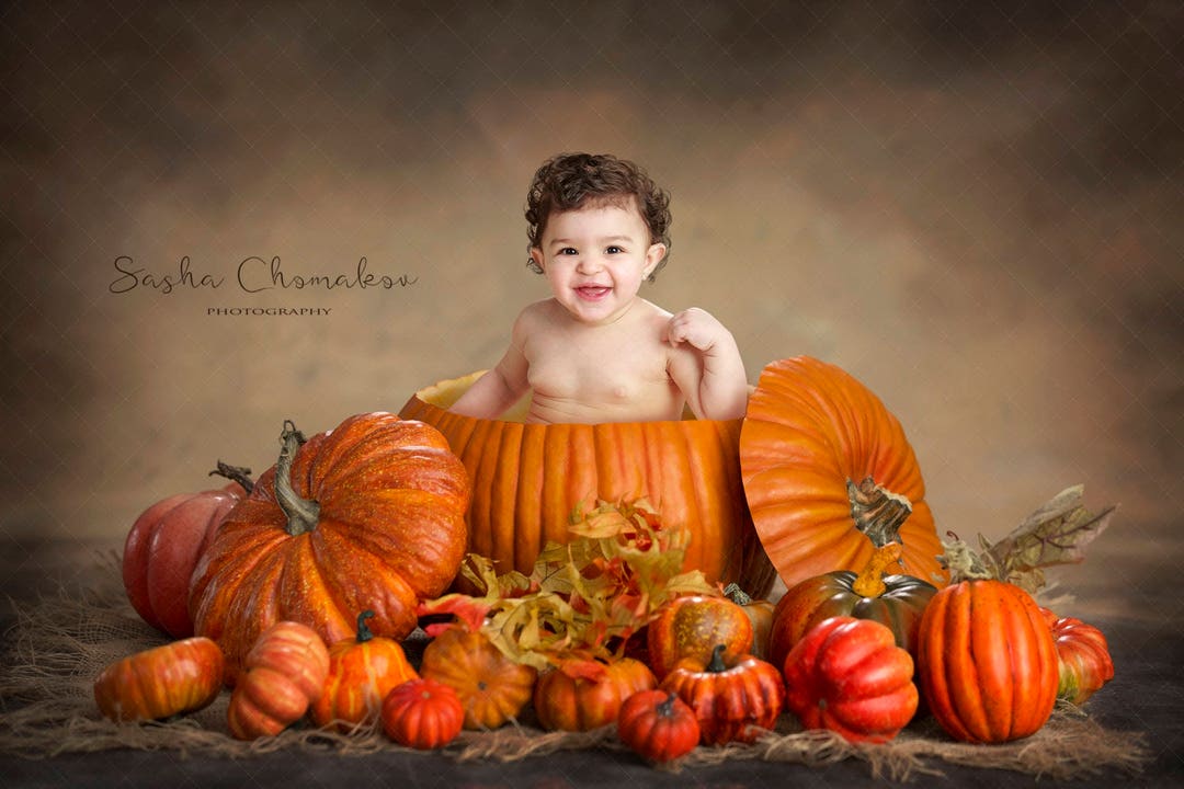 Digital Background Backdrop Newborn Baby Sitter Toddler Pumpkin Fall ...