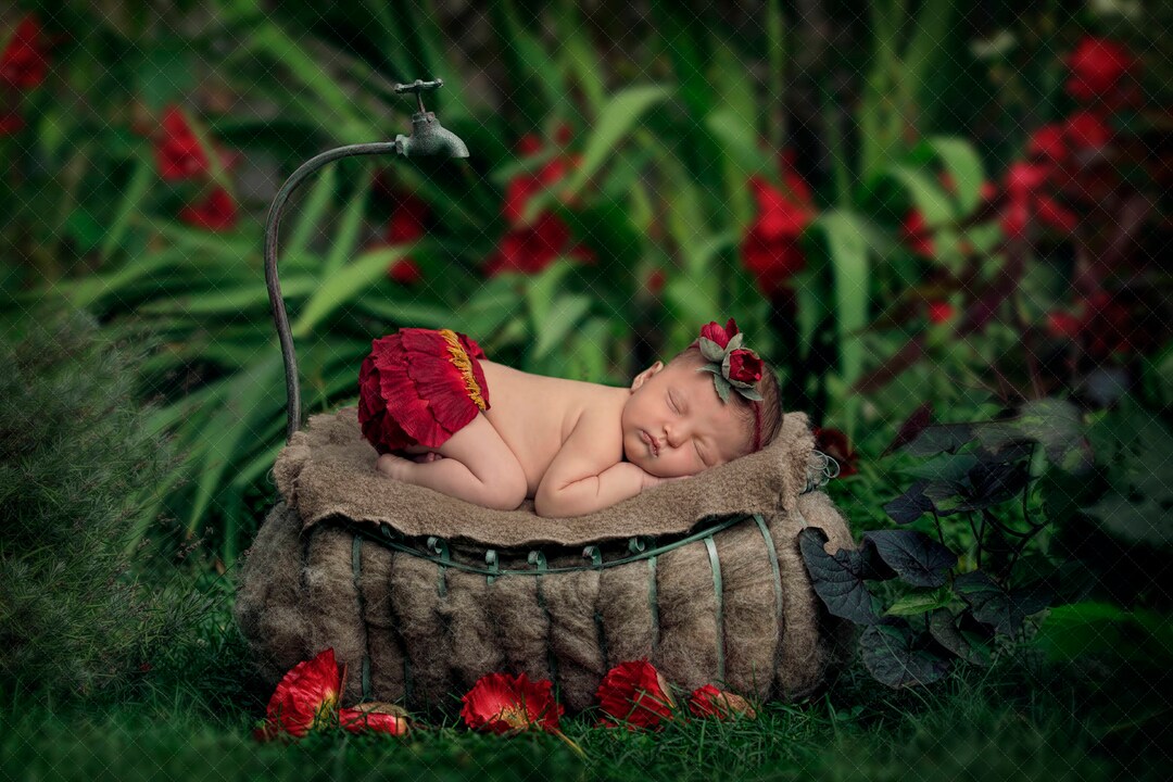 Digital Backdrop Background Newborn Baby Girl or Boy Forest - Etsy
