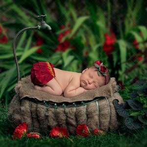 Digital Backdrop Background Newborn Baby Girl or Boy Forest - Etsy