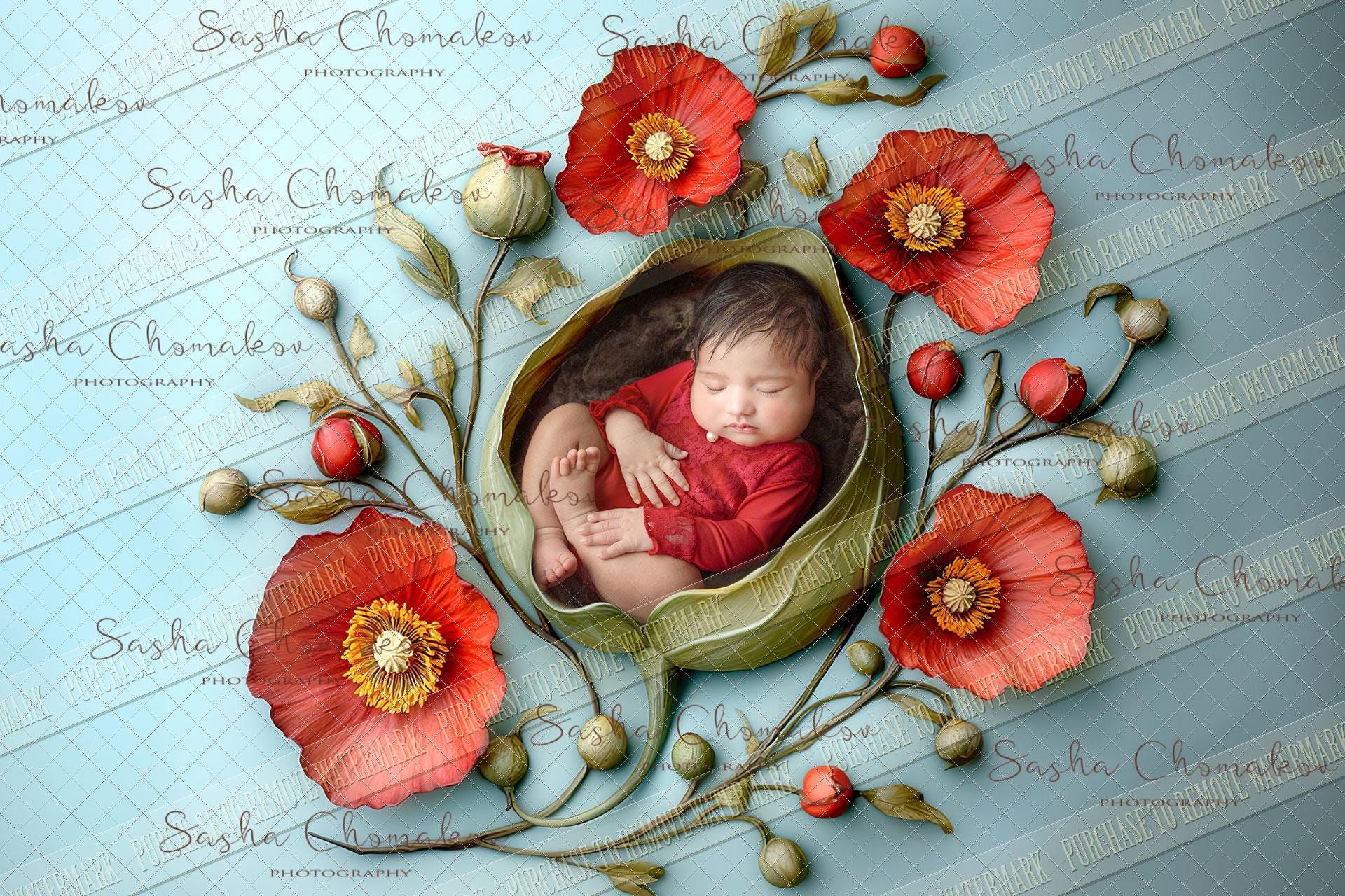 Digital Backgrounds Backdrops Newborn Baby Girls Bum up Pose Poppy ...