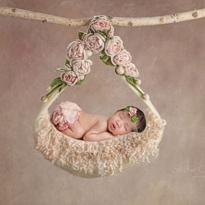 Digital Backdrop, Background Newborn Baby Girl or Boy White Cream Swing ...
