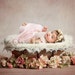 Digital Background Backdrop Newborn Baby Girl or Todller White 6 Months ...
