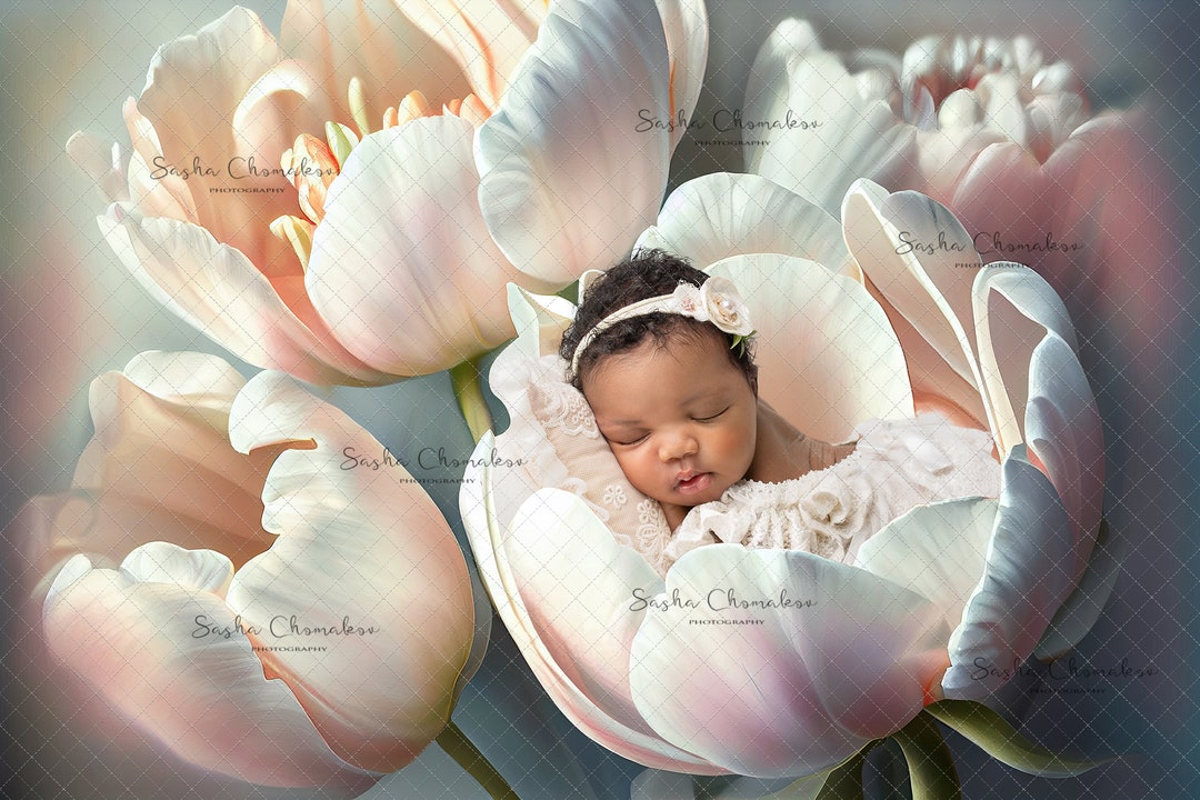 Digital Backdrop Background Newborn Baby Girl Hand Painted Tulips Cream ...