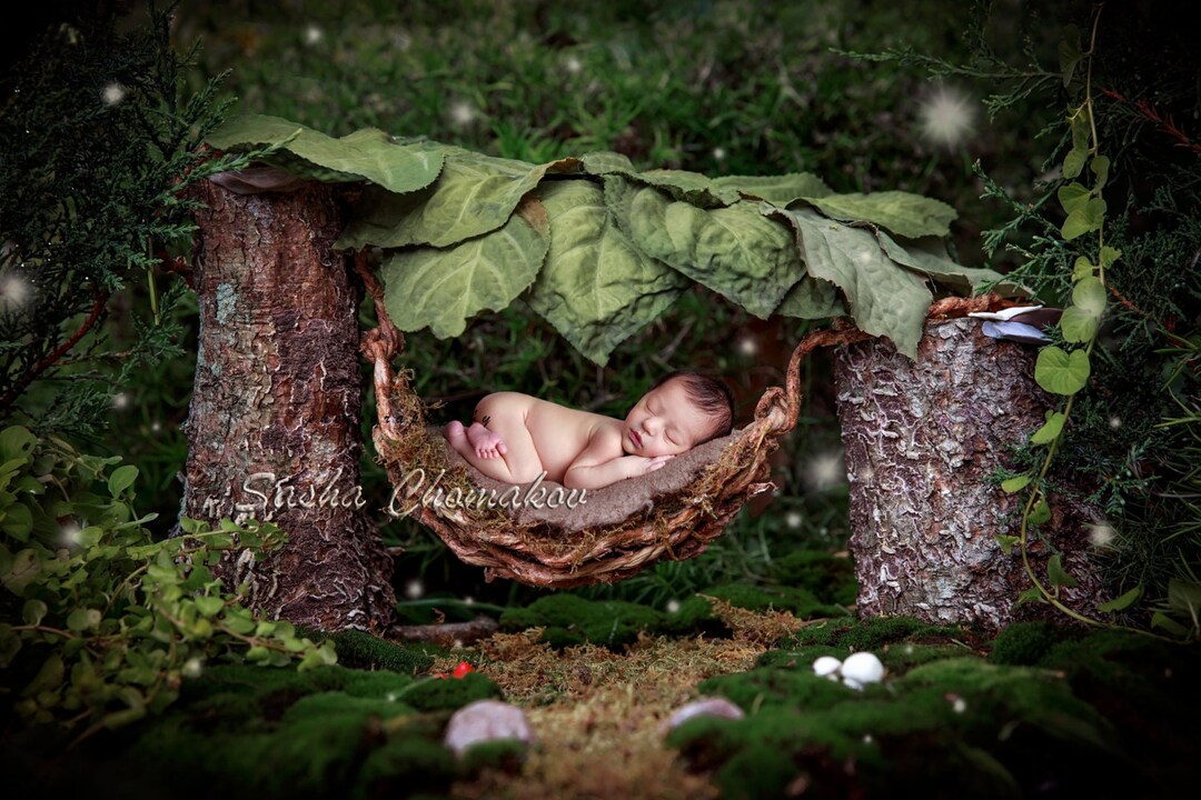 Digital Backdrop , Background Newborn Boy or Girl Outdoor Fairy Tail ...