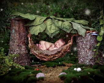 Digital Backdrop Background Newborn Baby Girl or Boy Forest | Etsy