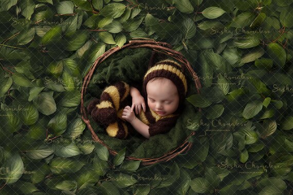 Digital Backdrop Background Newborn Girl or Boy Greenery Green - Etsy