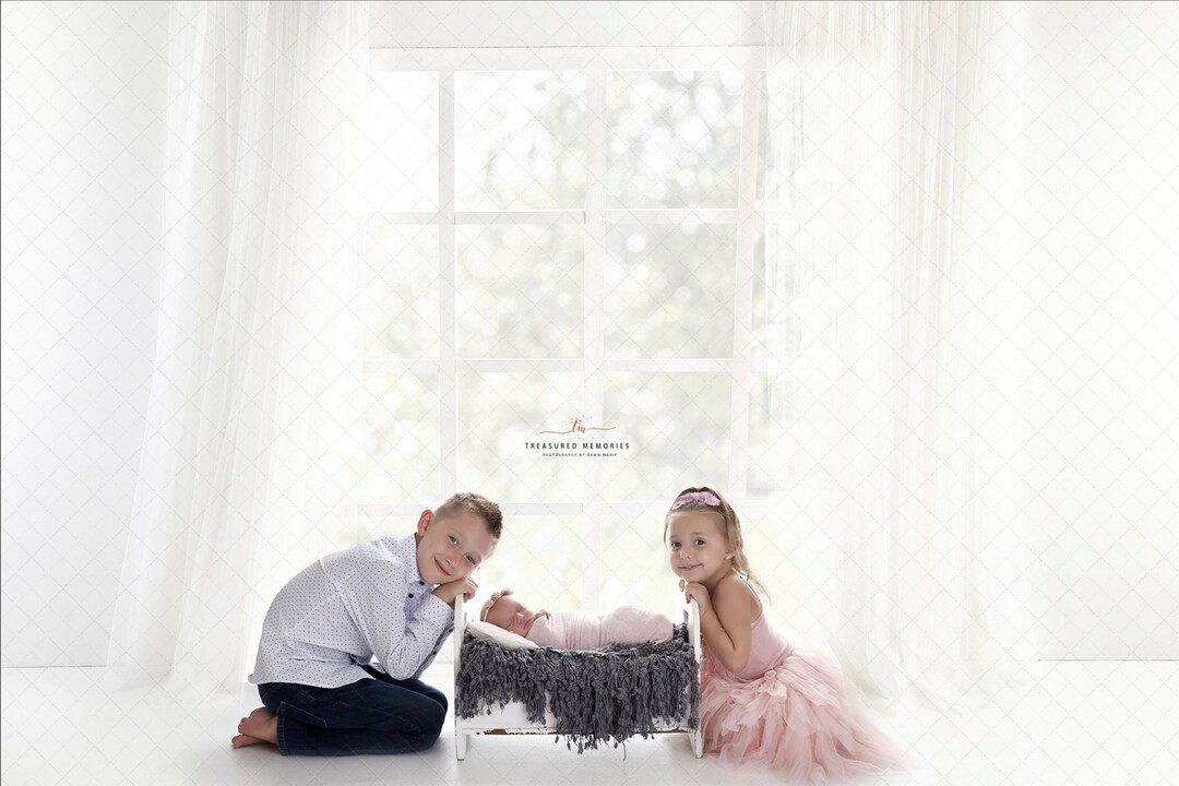 Digital Backdrop Background Maternity , Family Window White Back Lit ...