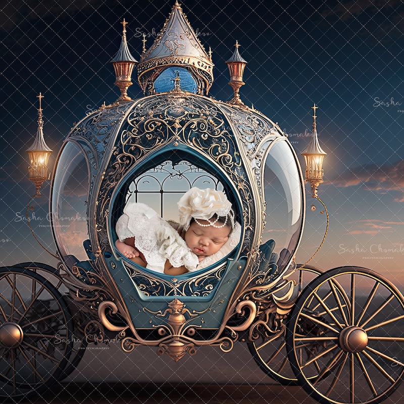 Cinderella Backdrop - Etsy