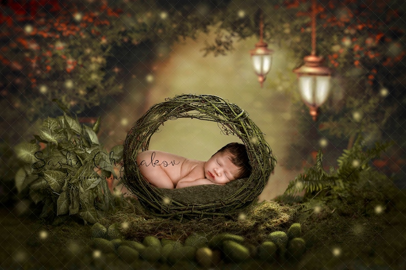 Digital Backdrop Background Newborn Baby Girl or Boy Jungle Fairy Tail ...