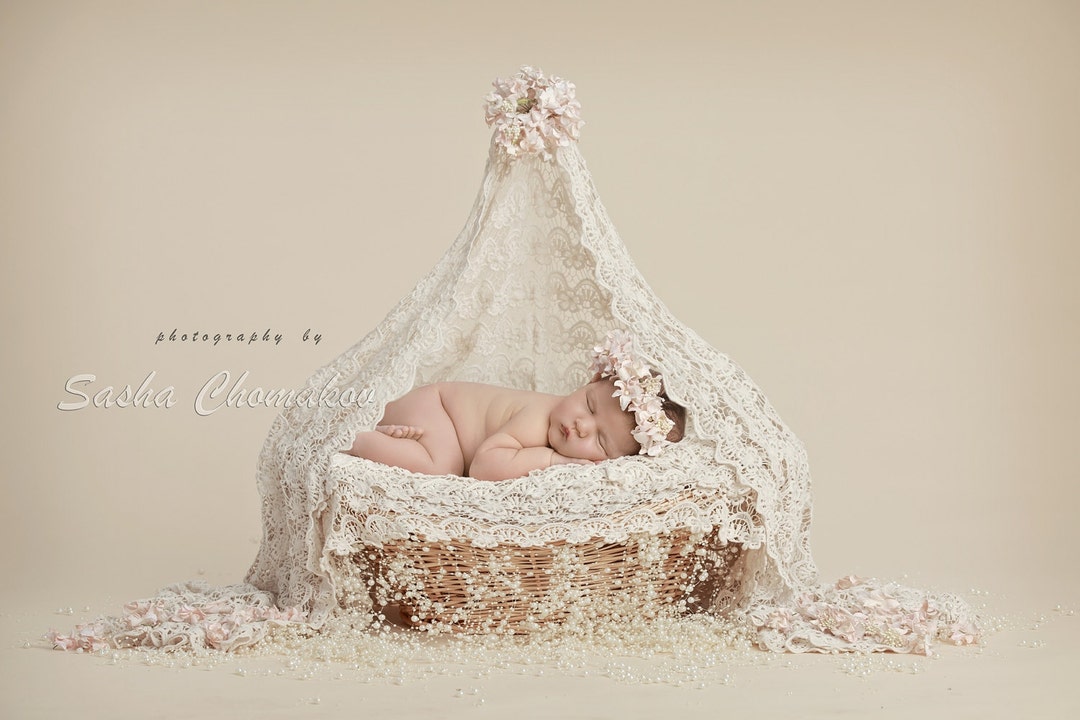 Digital Backdrop Background Newborn Girl Vintage Cream Lace Soft Pink ...