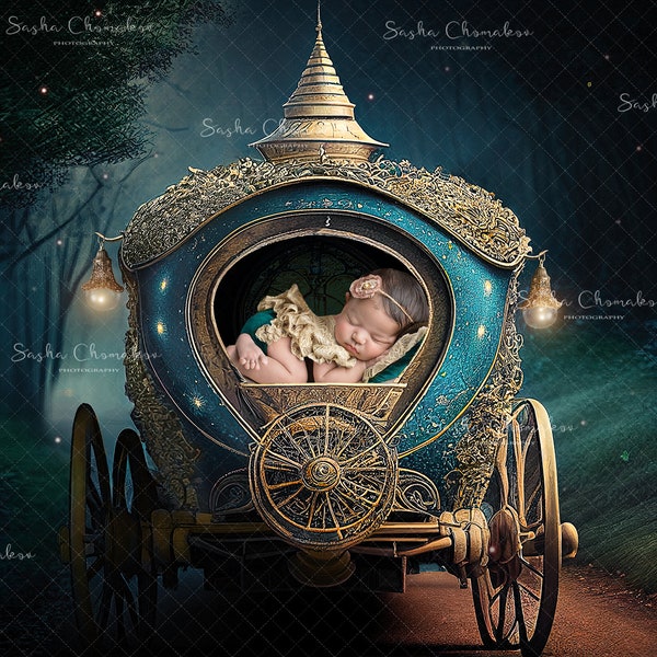 Cinderella Backdrop - Etsy