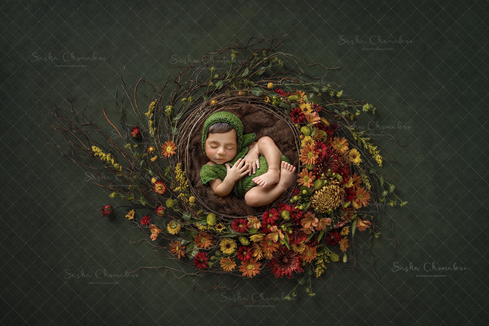 Digital Backdrop Background Newborn Baby Girl Dark Brown - Etsy