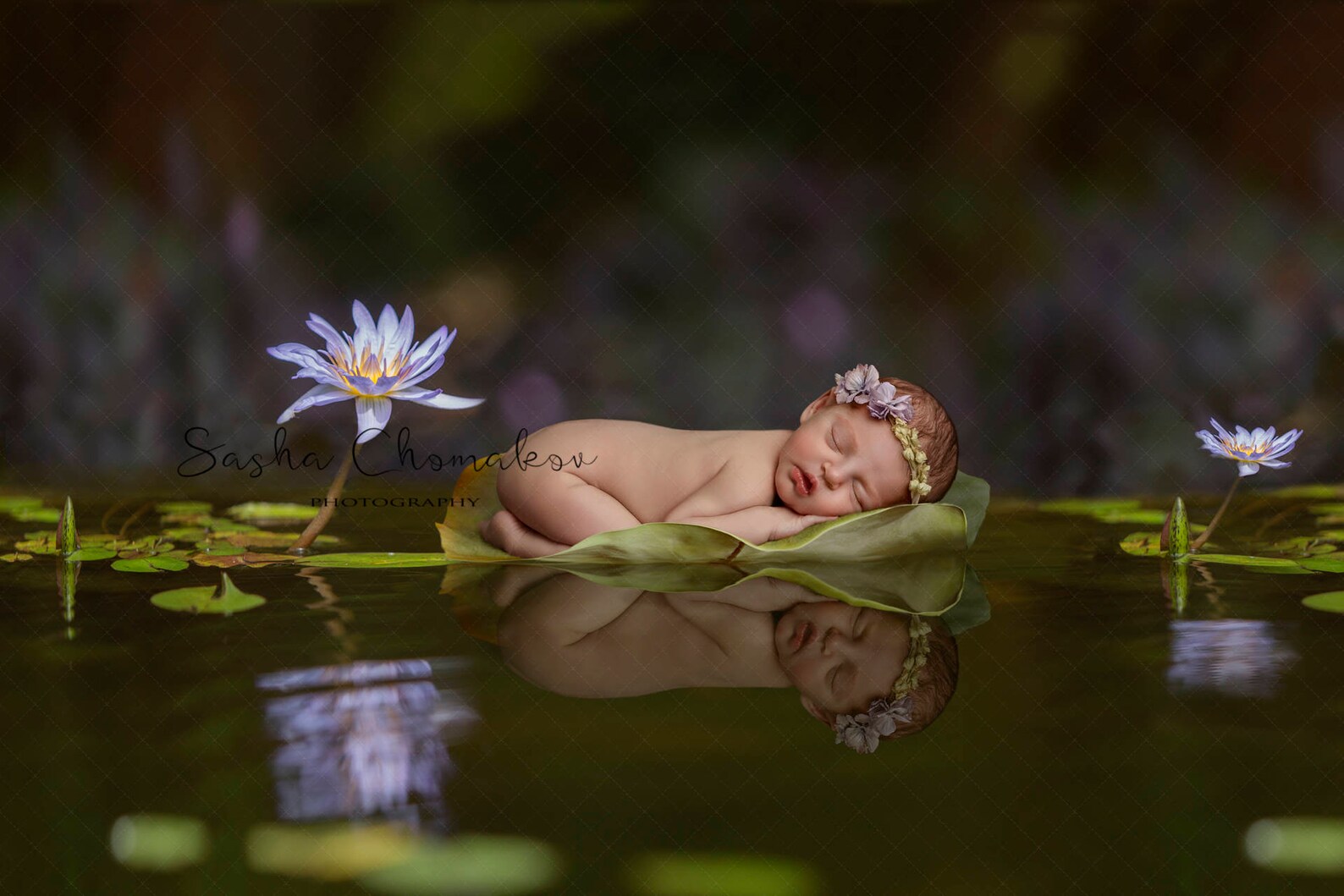 Digital Backdrop, Background Newborn Baby Girl Flower Lily - Etsy
