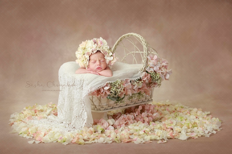Digital Backdrop, Background Newborn Baby Girl Pink Flowers Peach Cream ...