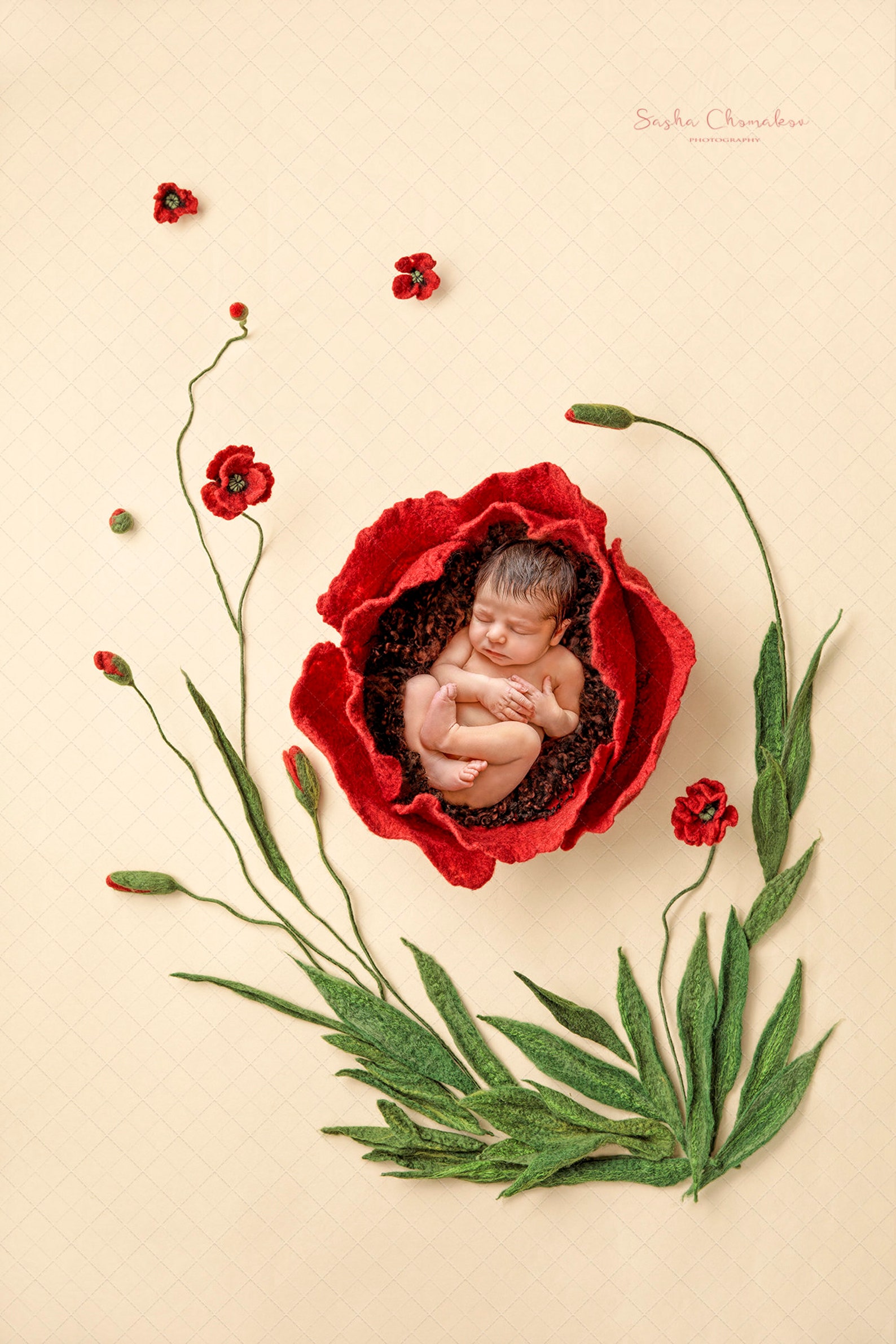 Digital Backdrop, Background Newborn Baby Girl Red Poppy Flower Felted ...