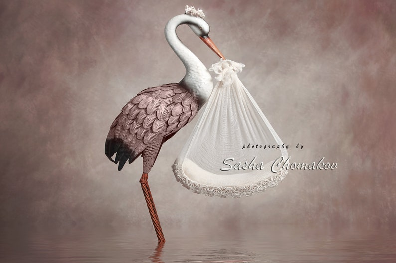 Digital Backdrop Background Newborn Baby Girl Pink Stork - Etsy