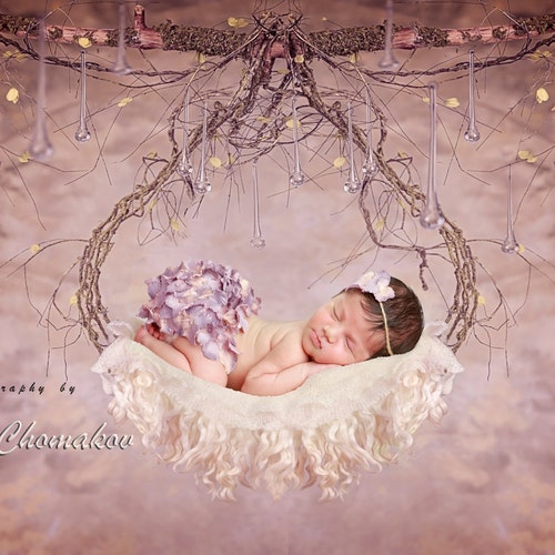 Digital Backdrop Background Newborn Baby Girl Outdoor Garden - Etsy