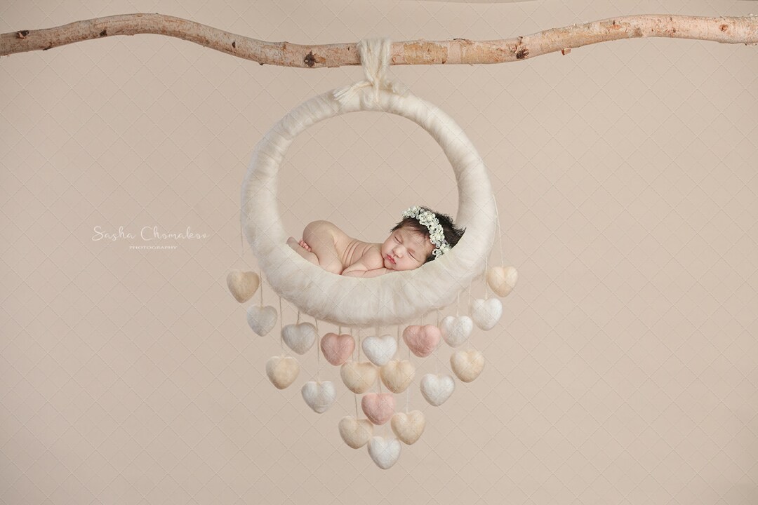 Digital Backdrop, Background Newborn Baby Girl Toddler Cream. Dream ...