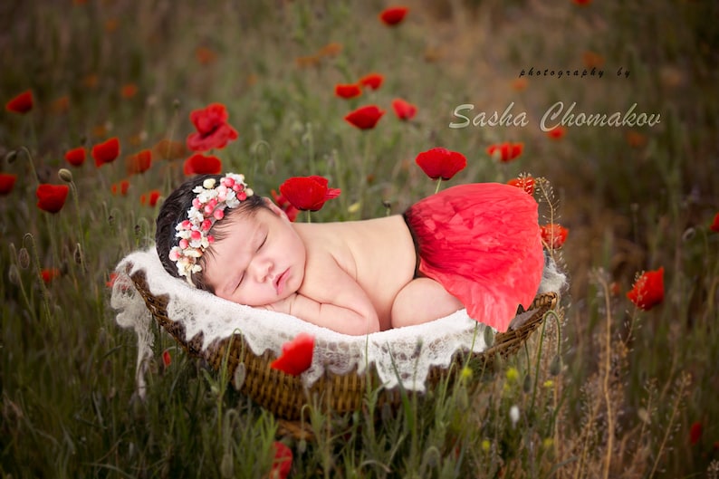 Digital Backdrop Background Newborn Baby Girl Red Poppy Outdoor Nature ...