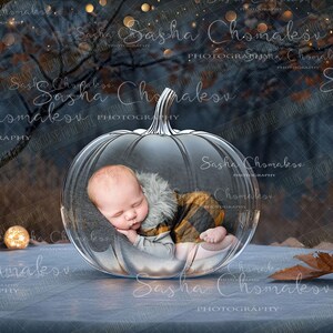 Digital Backdrop, Background Newborn Sitter Family Baby Girl Boy Fall ...