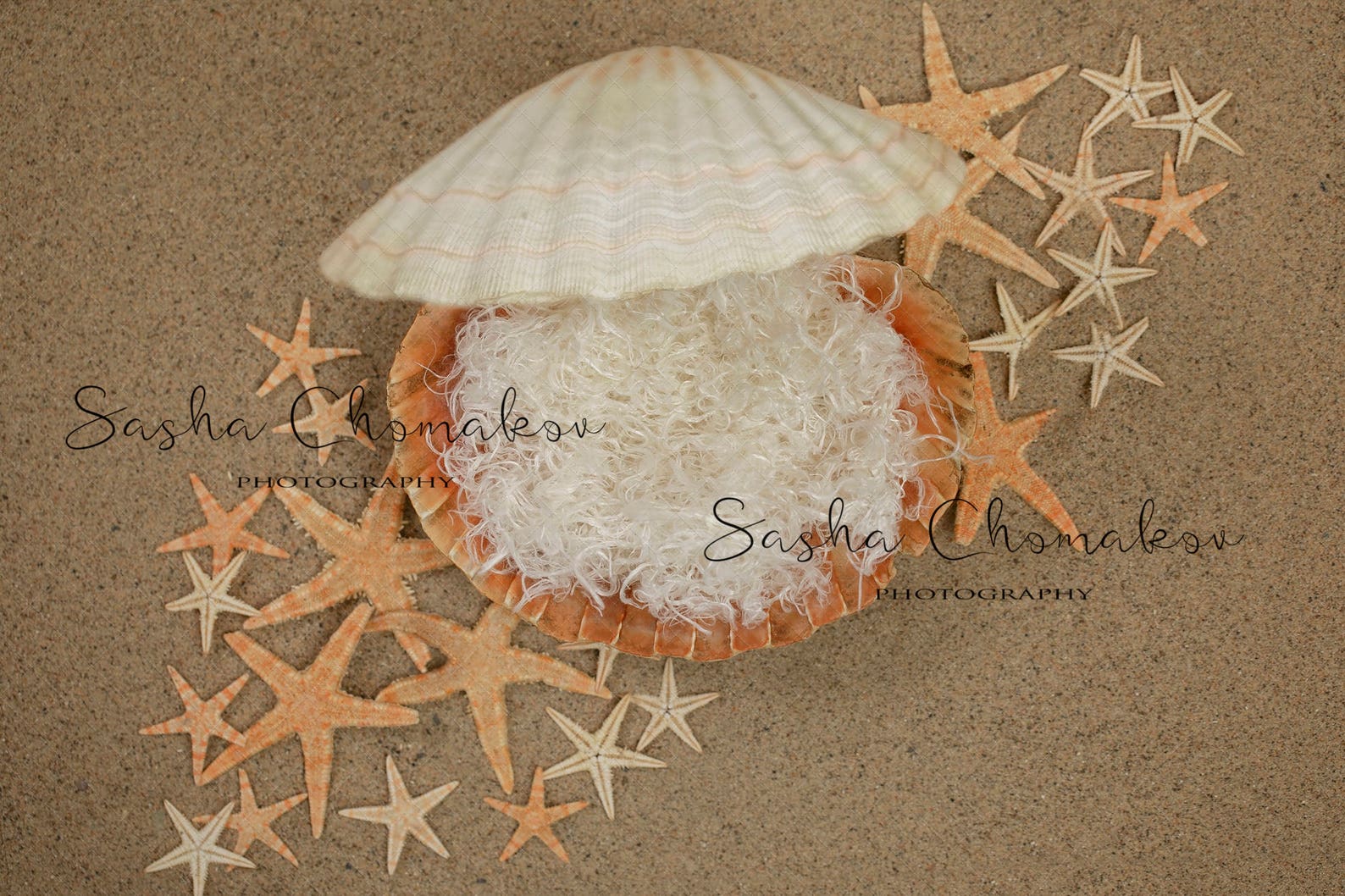 Digital Backdrop, Background Newborn Baby Girl Pearls Sea Shell Mermaid ...