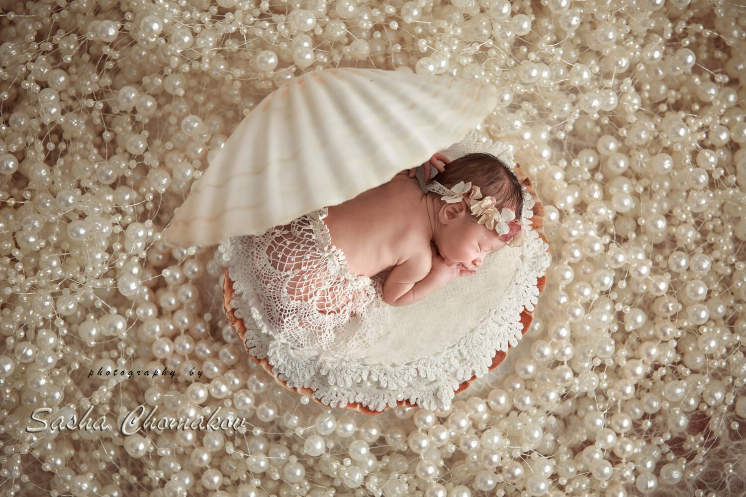 Digital Backdrop Background Newborn Baby Girl Pearls Sea Shell - Etsy