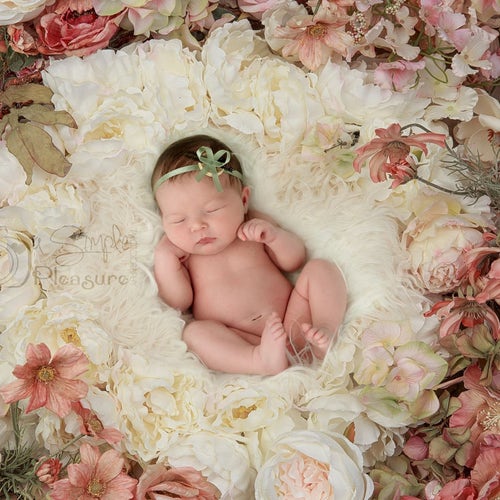 Digital Backdrop Background Newborn Baby Girl Flower Pink - Etsy