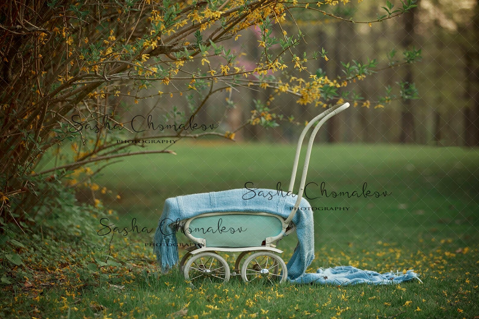 Digital Backdrop Background Newborn Baby Girl Boy Vintage Stroller - Etsy