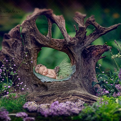 Digital Backdrop Background Newborn Baby Girl Outdoor Garden - Etsy