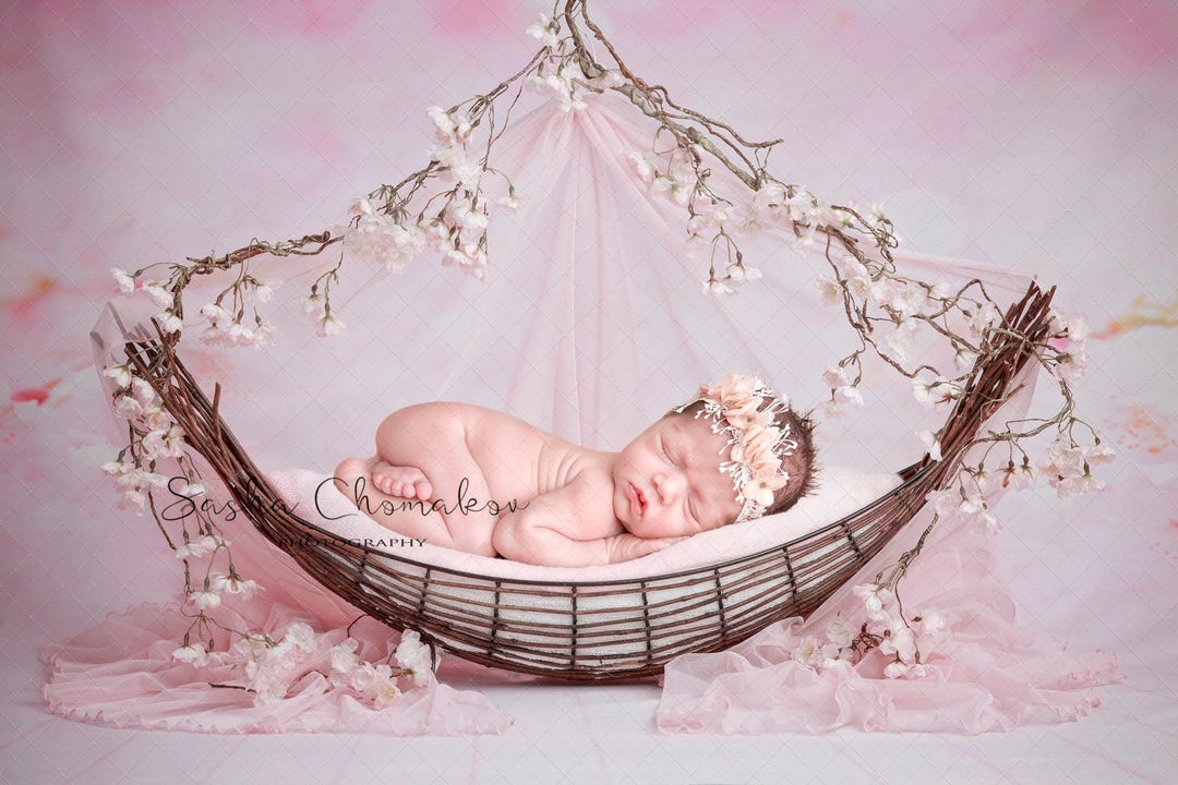 Digital Backdrop Background Newborn Baby Girl Flowers Peach Pink Canopy ...