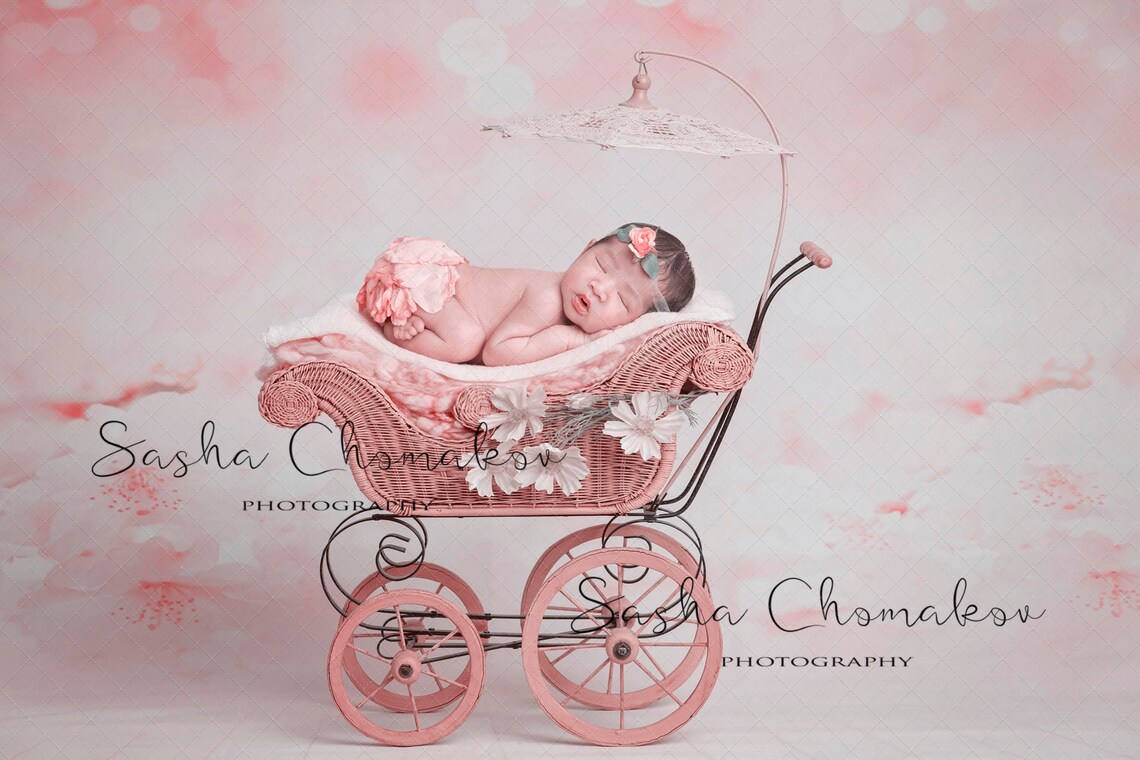Digital Backdrop Background Newborn Baby Girl Flowers Vintage | Etsy