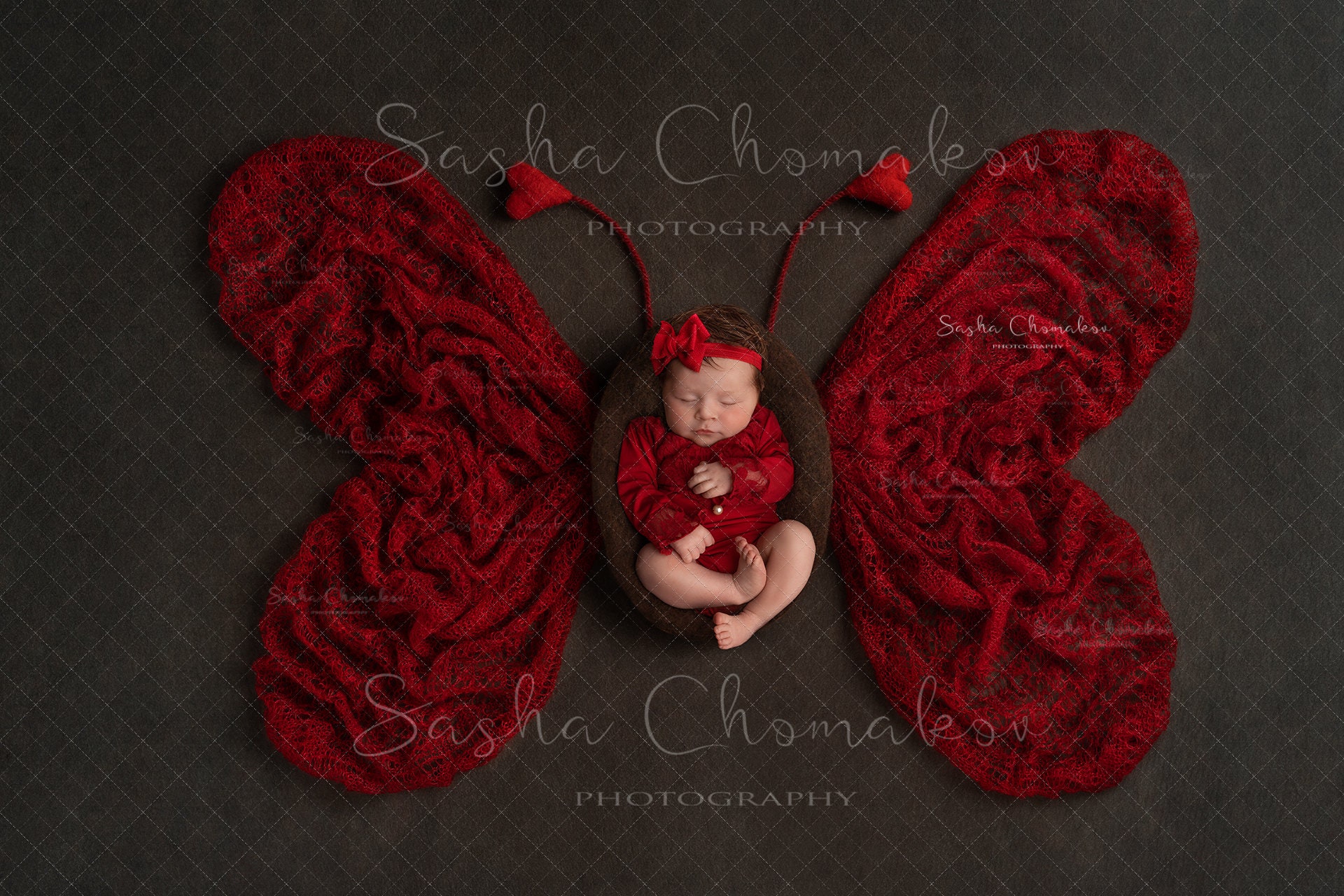 Digital Backdrop Background Newborn Baby Girl or Boy Brown | Etsy