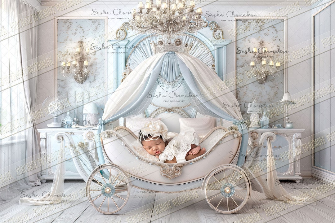Digital Backgrounds Backdrops Newborn Girl Princess Carriage Cinderella ...